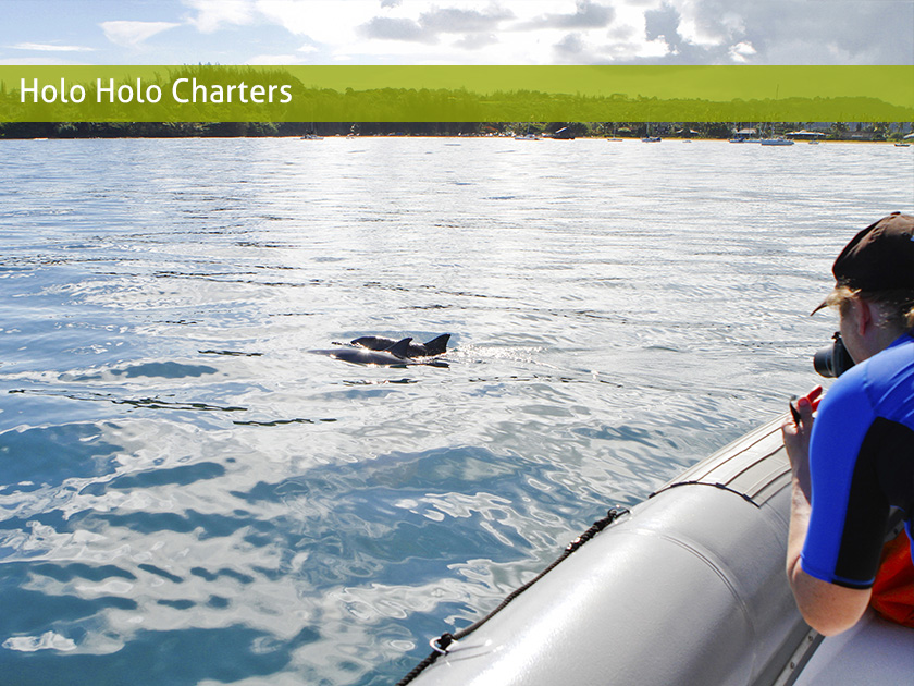 holo holo charters - Hanalei Bay Resort